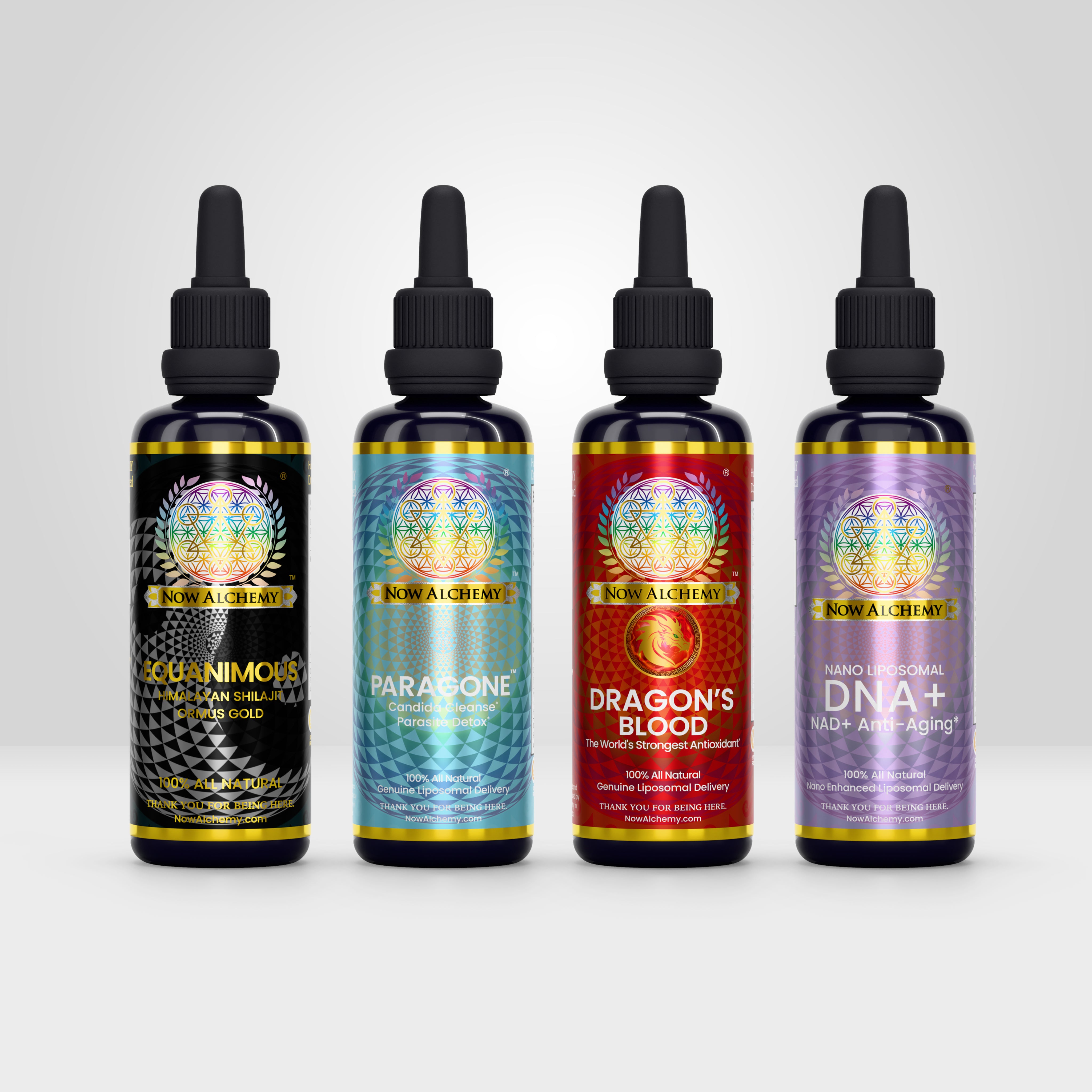 Buy Holiday Bundle - Now Alchemy