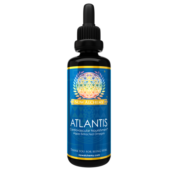 ATLANTIS - Cardiovascular Nourishment Algae Extracted Omegas | Now Alchemy